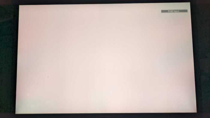 Full Screen White VGA Signal with Bitluni ESP32 Library – New Screwdriver