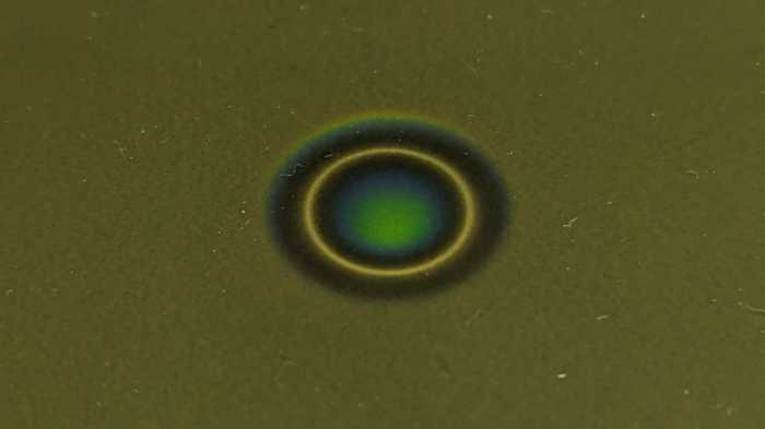 Fun with Magnetic Field Viewing Film – New Screwdriver